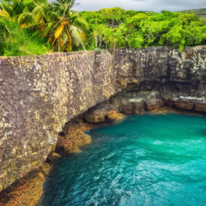 Que Es La Tusa En Puerto Rico - Puerto Rico
